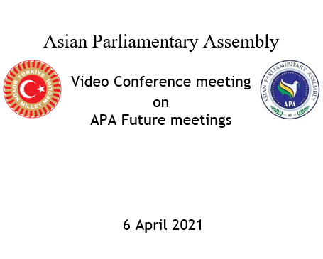 Virtual Meeting of the APA President and Vice-Presidents on APA Future ...